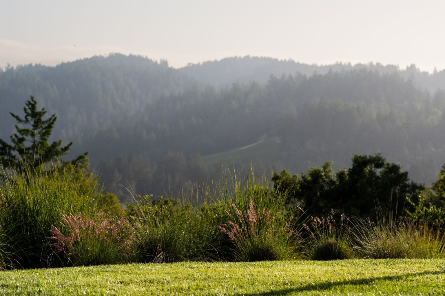 Gary Farrell Winery